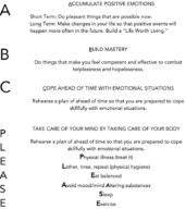 DBT Skills: DEAR MAN, PLEASE, FAST, GIVE, TIPP, WISE, and STOP – Ethan ...