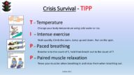 DBT Skills: DEAR MAN, PLEASE, FAST, GIVE, TIPP, WISE, and STOP – Ethan ...